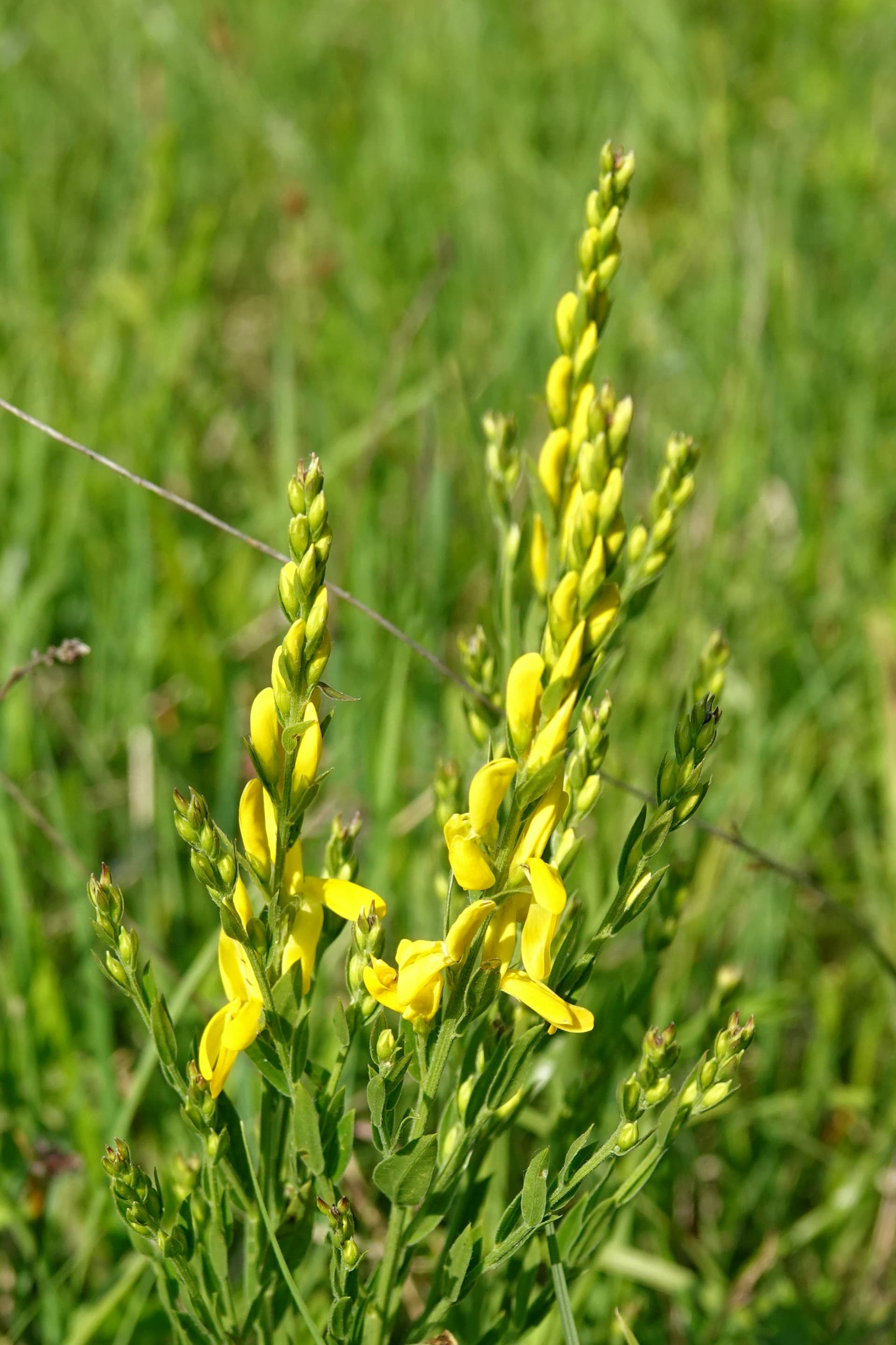 NUR eigene Fotos unserer Foristen - Seite 104 - Off-Topic - LBV Forum