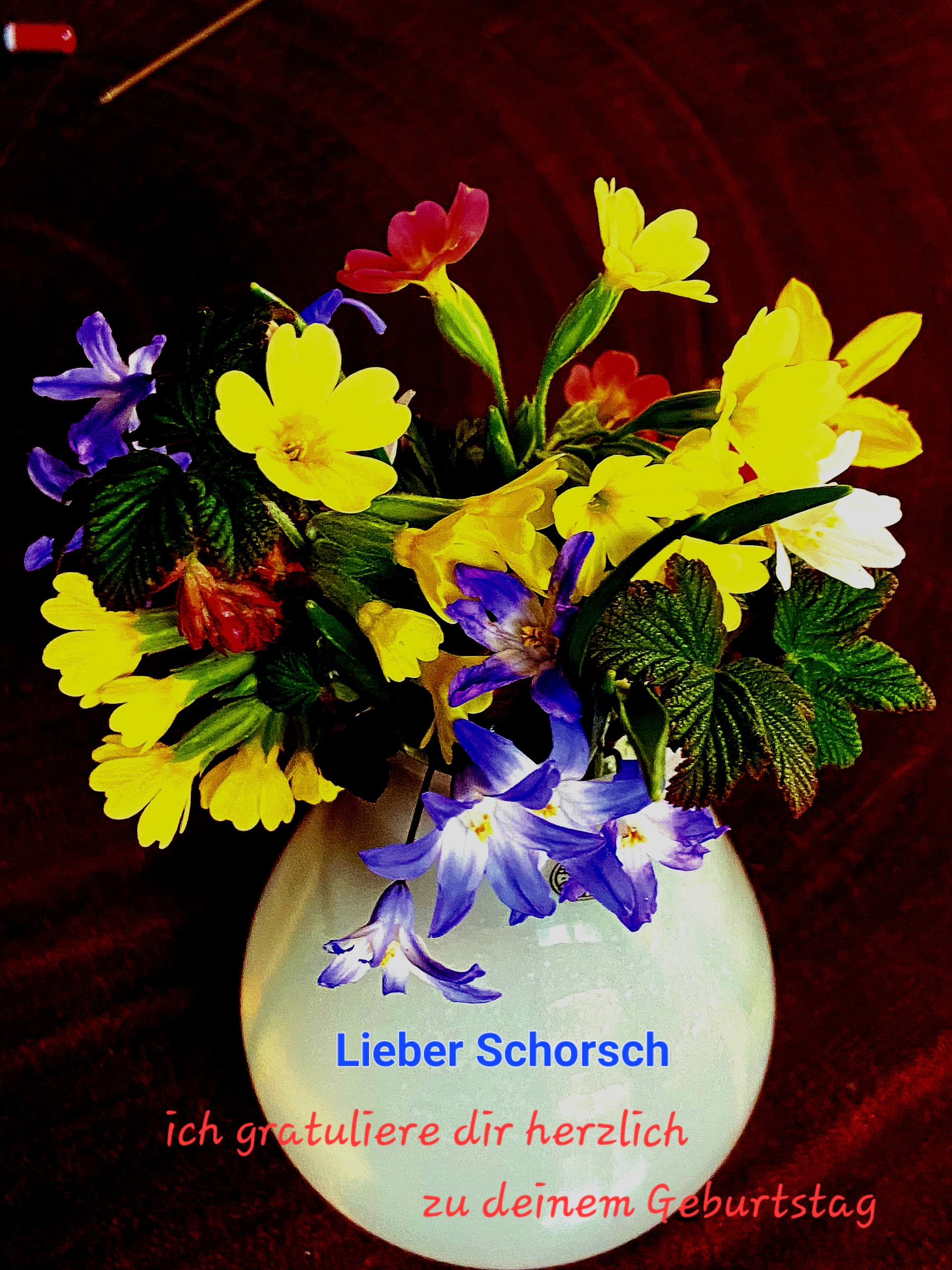 Plauderecke (Teil 2) - Seite 438 - Off-Topic - LBV Forum