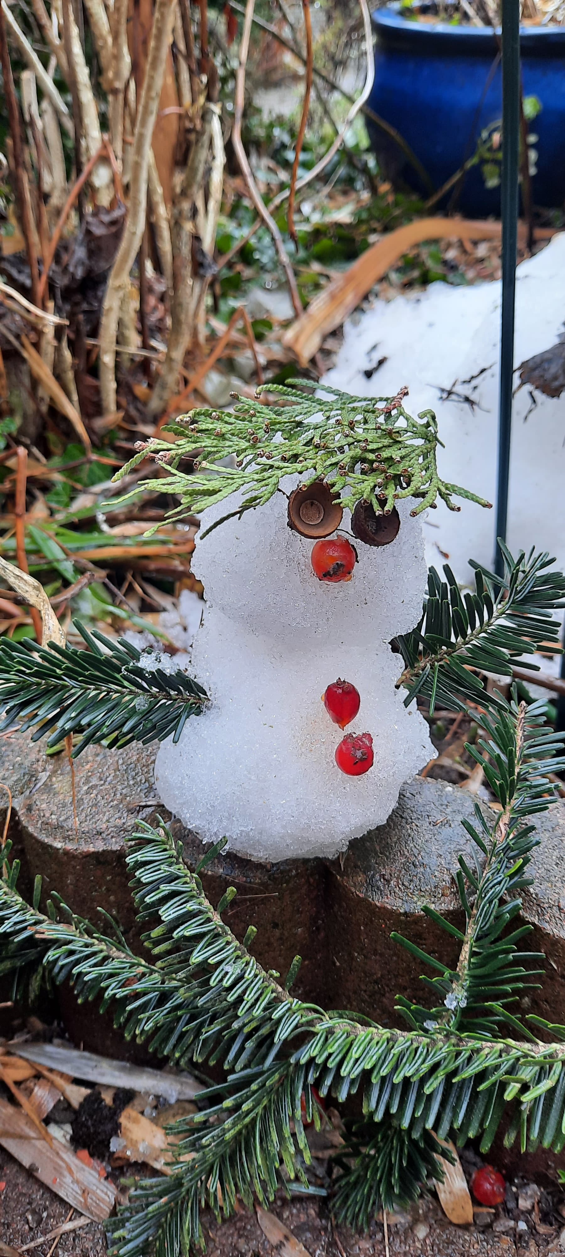 Webcam: Futterhaus (Hilpoltstein) - #4559 von Recka - LBV-Webcams - LBV ...