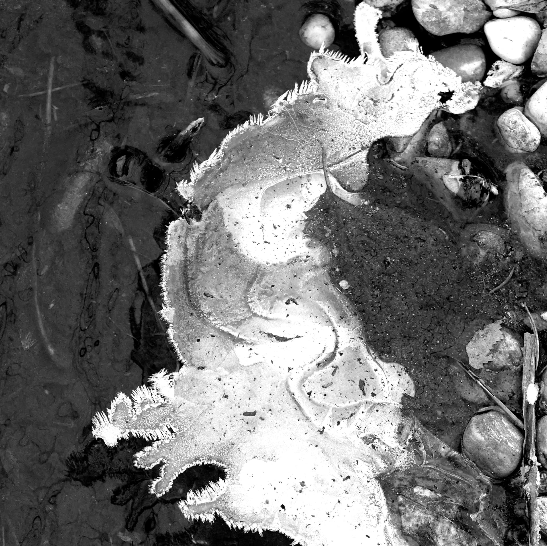 Plauderecke (Teil 3) - Seite 57 - LBV Forum