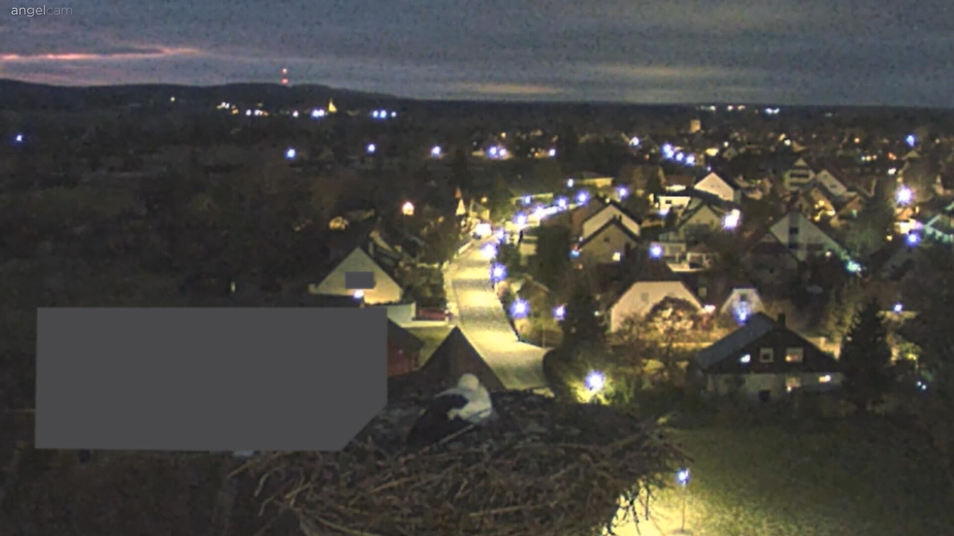 Webcam: Weißstörche in Muhr am See (Altmühlsee) 2026 - LBV-Webcams ...